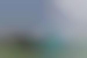 Predatory Pup Jackets : Shark Fin Life Jacket