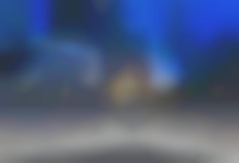 17 Distinct Memorial Structures