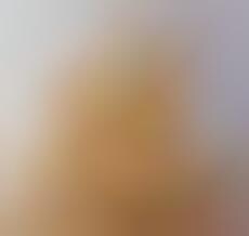 Wooden Canine Carousels : tim racer