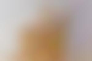 Wooden Canine Carousels : tim racer