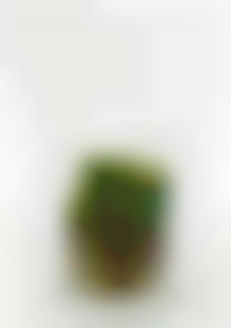 Comical Cinematic Terrariums : terrarium planters