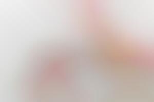 Arboreal Branch Magnets : fridge magnet