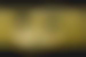 Epic Concert Tour Trailers : On the Run Tour trailer