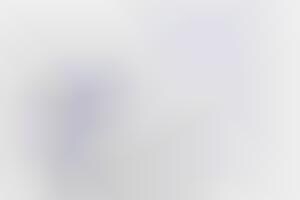 Rabbit-Resembling Packaging : Chocolats Favoris