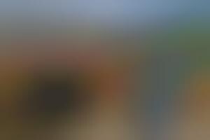 Tacky Wallpaper Photography : landscapes for the people