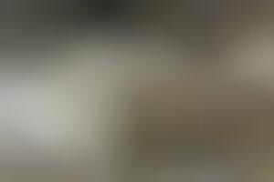 Unpackaged Food Supermarkets : Original Unpacked