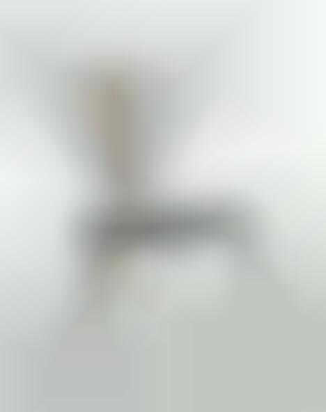 Transparent Fluid Seating : Manta Chair