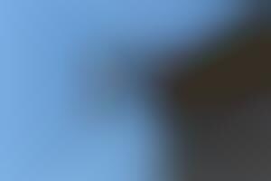 Suspended Furniture Installations : Brian Goggin