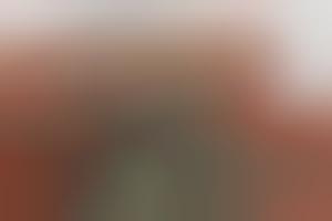 Medication Reminder Watches : Cadex Platinum