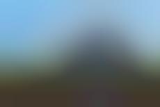 Underground Beer Dispensers : underground beer dispenser