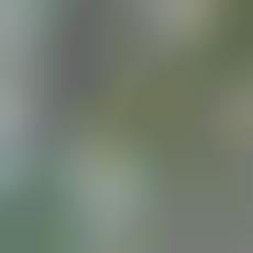 Computer Code Quilts : coded geometric quilts