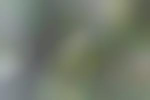 Computer Code Quilts : coded geometric quilts