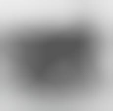 Young Changemaker Collaboratives : Social Entrepreneurship Evolution