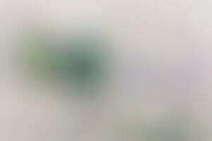 Elaborate Mermaid Bathers : shell bikini