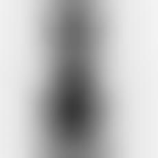 Portable Charcoal Grills : to go grill