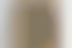 DIY Fantasy Dishware : paper plates