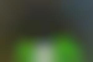 Evil Queen Cookies : "cookie design"