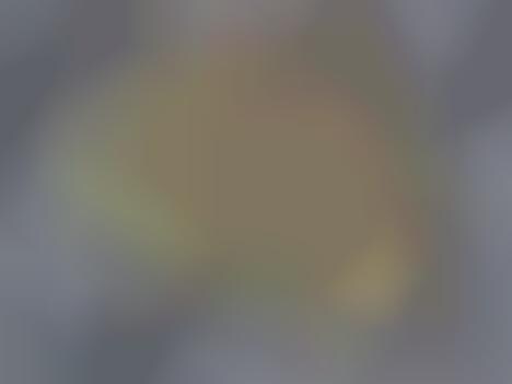 Personalized Papa-Honoring Picks : customized guitar pick