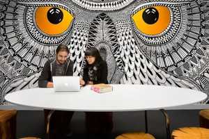 Owl-Centric Offices : hootsuite office