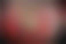 Aluminum Can Oil Paintings : kim alsbrooks