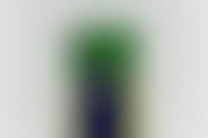 Patriotic Phone Cases : 2014 fifa world cup series