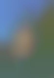 $1 Historical Homes : "james lee house"