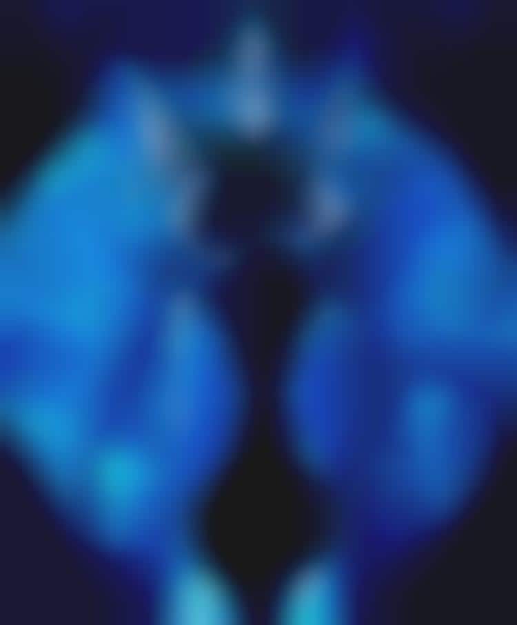 50 Polychromatic Photography Examples