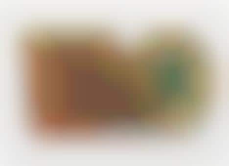 Water Buffalo Ice Cream : Double 8 Dairy Gelato