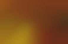 Heartbeat-Projecting Art : one heart one tree