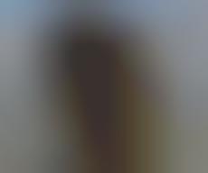 Cockroach Pool Floats : giant cockroach