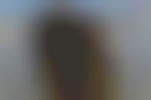 Cockroach Pool Floats : giant cockroach