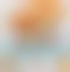 Sushi Transformer Toys : transforming sushi