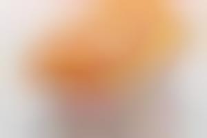 Sushi Transformer Toys : transforming sushi