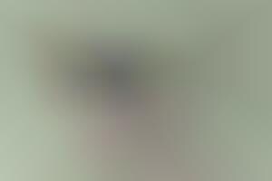 Guilt Trip Travel Ads : "guilt trip travel"