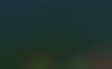 Heartbeat-Projecting Art : one heart one tree