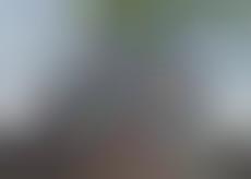 Recycled Waste Homes : waste house