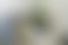 Sporty Blue-Hued Meals : samurai blue