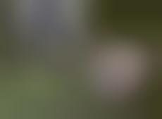 Everyday Escapism Photography : Transitions by Clarissa Bonet