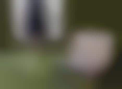 Everyday Escapism Photography : Transitions by Clarissa Bonet