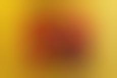 Pop Cultural Exhibits : Magnus Voll Mathiassen