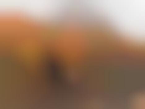 Globular Desert Loungers : Etazin Lounge Chair