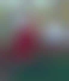 Religious Tourist Traps: 10 Places to Pray Hard