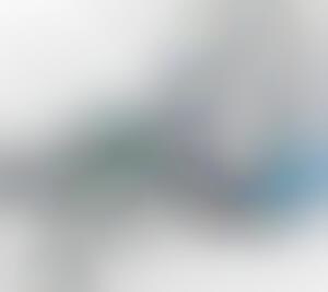 Drive Through Shopping Cart Washes: The PureCart