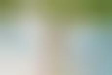 Mesmerizing Hawaiian Editorials : Jessica Wertheim