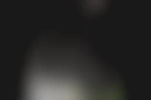 Spiralling Cocktail Devices : cocktail spinner