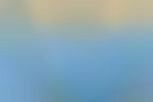 Managerial Routine Infographics : successful manager