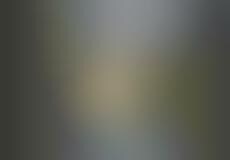 Sea Creature Lighting : sea creature light