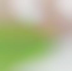 Frozen Infant Food Trays : "baby food freezer tray"