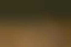 Vibrant Village Photography : herman damar