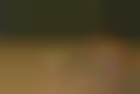 Vibrant Village Photography : herman damar